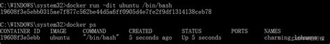 Docker容器启动后闪退问题docker容器闪退 Csdn博客