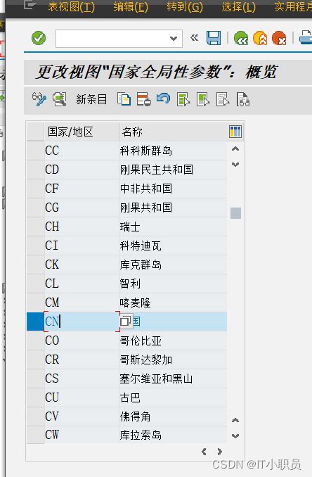 sap s4 fi后台详细配置教程 part1 （通用配置及基础架构篇） sap s4 fico配置清单 csdn博客
