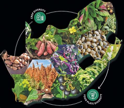 Underutilised Crops Come Into Their Own Read This Story On