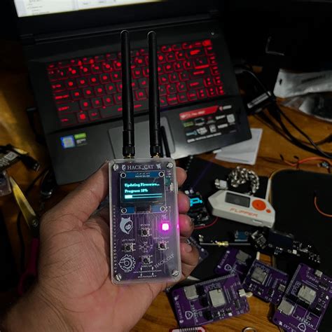 hacker nowful cybersecurity and hardware hacking ai and iot hack cat