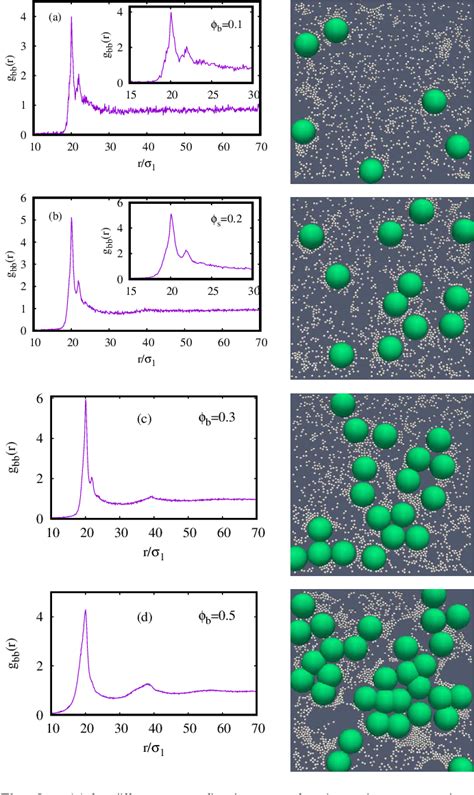 Figure 2 From Phase Separation In Binary Mixtures Of Active And Passive Particles Semantic