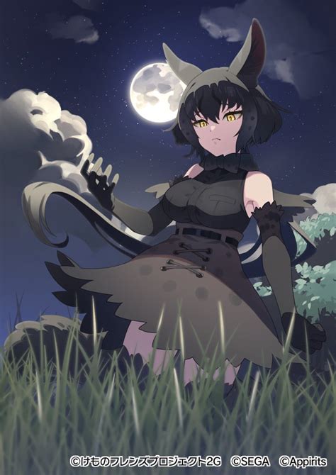 Kemono Friends Danbooru