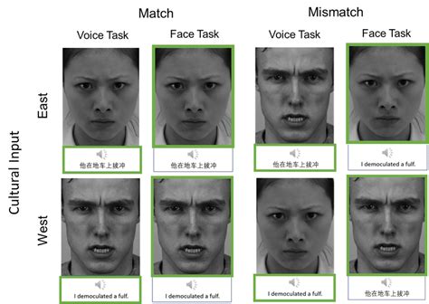 Examples Of Bimodal Stimuli By Task Voice Vs Face Culture East Vs