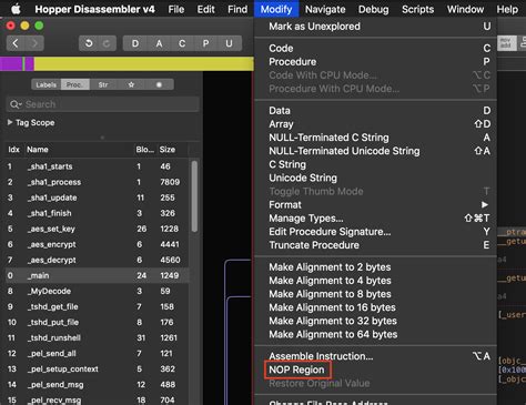 Reversing Macos Malware Tinyshell Blog Ritsec