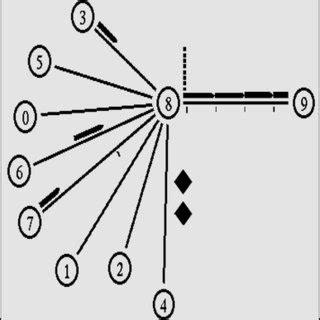 Binary Tree Based Data Aggregation Structure Download Scientific Diagram