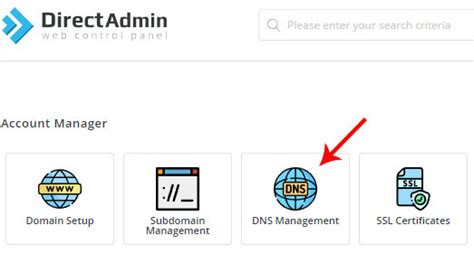 cara menambah dns record domain pada directadmin knowledgebase