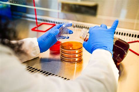 A Sustainable Way For Pathogen Control In The Meat Industry Khni