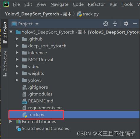 Yolov5deepsort多目标跟踪教程 Csdn博客
