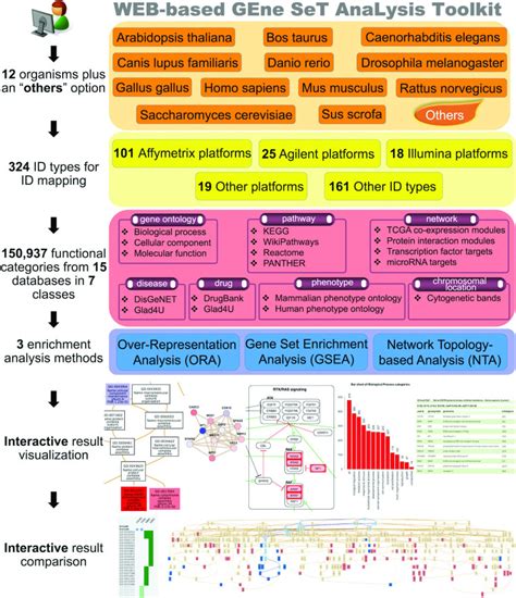 Webgestalt 2017 A More Comprehensive Powerful Flexible And Interactive Gene Set Enrichment
