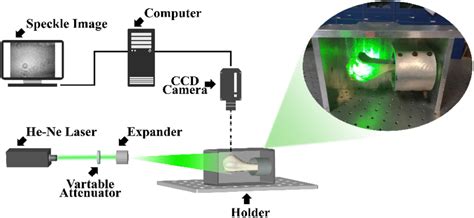 Schematic Diagram Of The Detection Device Download Scientific Diagram