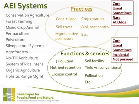 Agroecological Approaches To Increasing Productivity And Securing