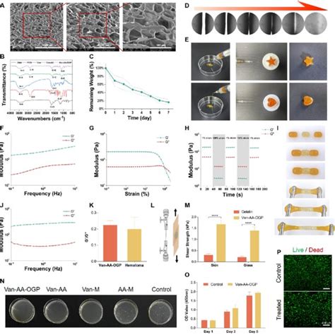 Analysis Of Inflammatory Microenvironment 4 Weeks Post Fracture A Download Scientific