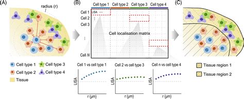 9 Identifying Spatial Domains With Unsupervised Clustering Spatial