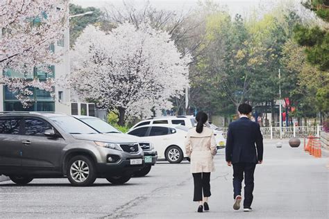 겁나신나부부의 월드투어 2년간 세계여행을 다녀온 부부 이야기 겁나신나부부 시그니쳐 솔헤이마산두르의 추억 🇮🇸 아이슬란드 미국 비행기 잔해가 보존되어 있는 곳 마치