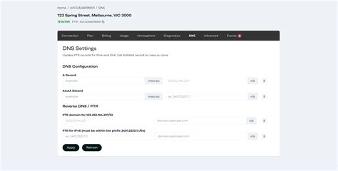 Introducing Nesoau Neptunes Dedicated Subscriber Dns Zone Neptune