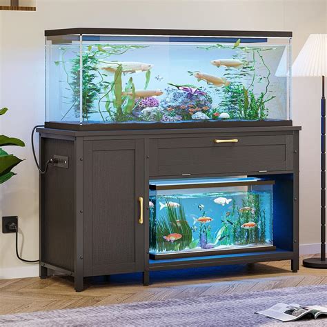 55 Gallon Freshwater Aquarium Ideas