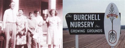 About Us — Burchell Nursery