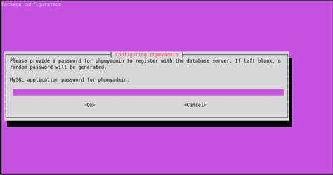 How To Install PhpMyAdmin With Nginx On DigitalOcean Ubuntu Droplet
