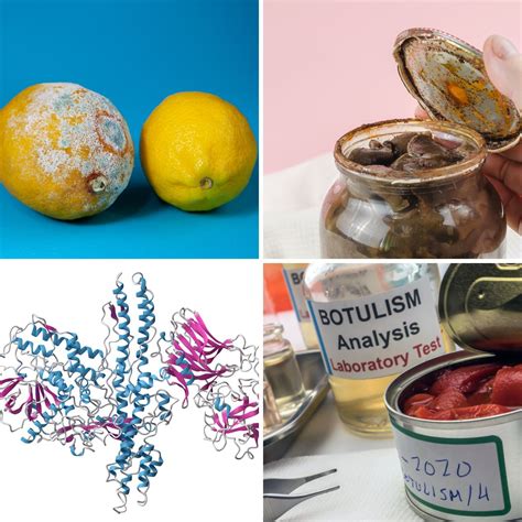 How To Prevent Botulism And How Big A Problem Is It Gardensall