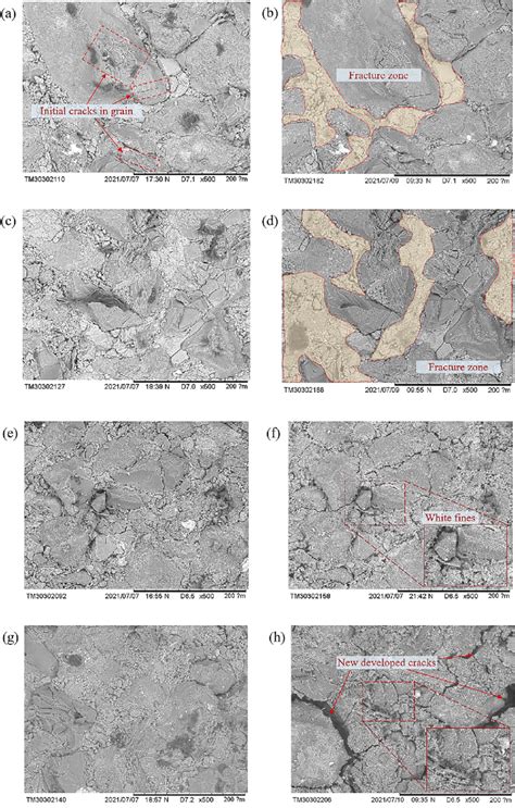 Comparison Of The Microstructure Between Initial Samples And Treated Download Scientific