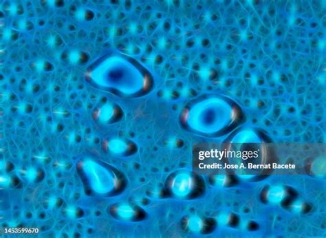 Ice Molecule Photos And Premium High Res Pictures Getty Images