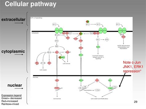 Microarray Experiment Design And Data Interpretation Ppt Download