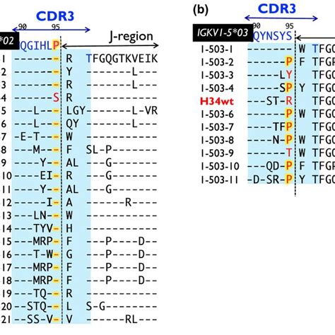 Comparison Of Amino Acid Sequences Of Cdr 3 Among Germline Genes A Download Scientific