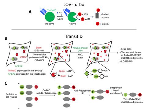 Hot Plasmids November 2023