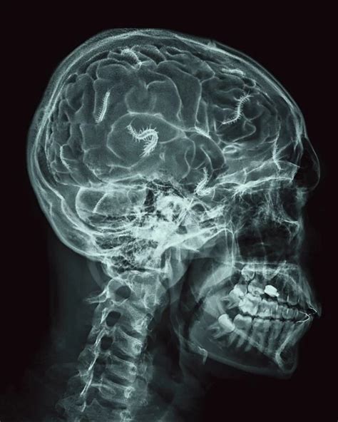 وحشتناک ترین تصاویری که مردم عادی در فضای مجازی به اشتراک گذاشتند