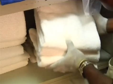 Lipids Phospholipids Flashcards Quizlet