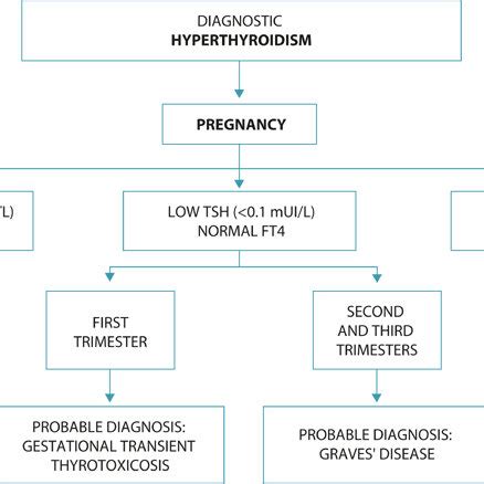 Diagnostic Hyperthyroidism TSH Thyroid Stimulating Hormone FT Free Download Scientific