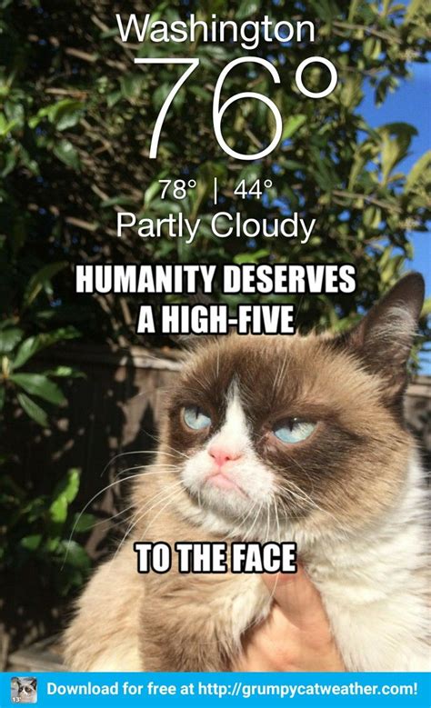 Pin By Jenny Lobb On Grumpy Weather Grumpy Cat High Five Grumpy