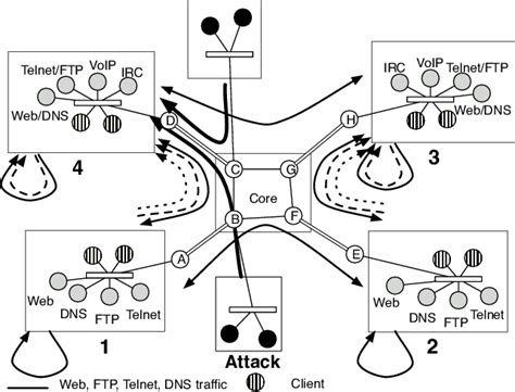 Experimental Topology Download Scientific Diagram
