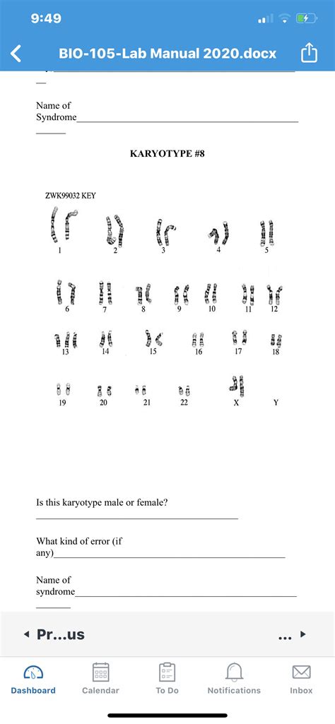 Answer Key Biology Karyotype Worksheet Answers Printable Word Searches