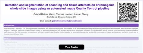 Detection And Segmentation Of Scanning And Tissue Artefacts On