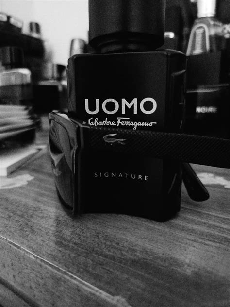 Uomo Salvatore Ferragamo Signature Salvatore Ferragamo Kolonjska voda ...