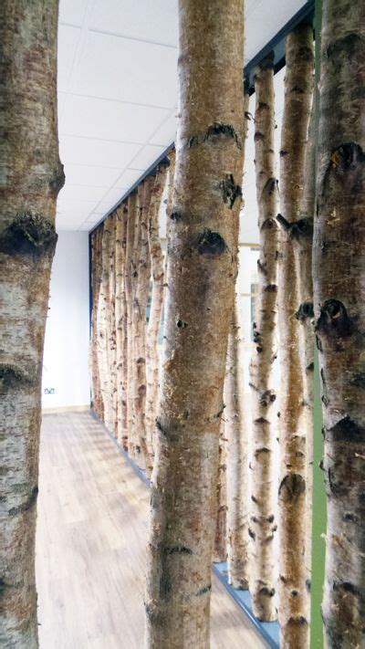 Birch Tree Trunk Screen And Custom Frame