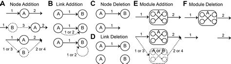 EvoNet EvoNet Documentation