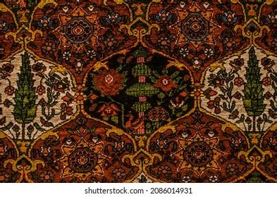 15 510 Cypress Flowers Images Stock Photos Vectors Shutterstock