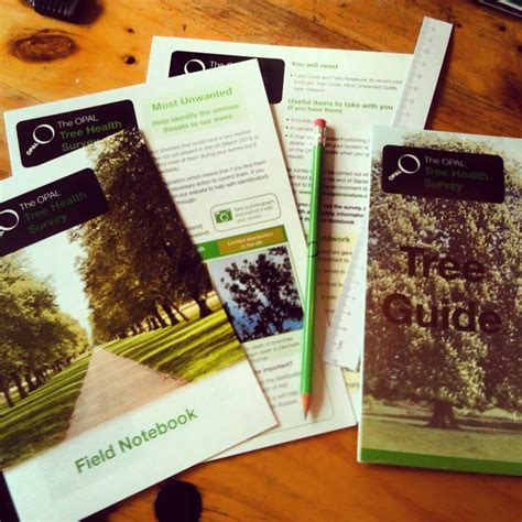 Citizen Science Challenge 6 Tree Health Survey Dr James Borrell