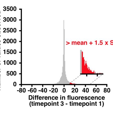 Engram Stability Predicted The Degree Of Memory Retention Download Scientific Diagram