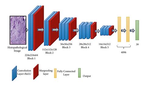 schematic illustration of vgg16 architecture download scientific diagram