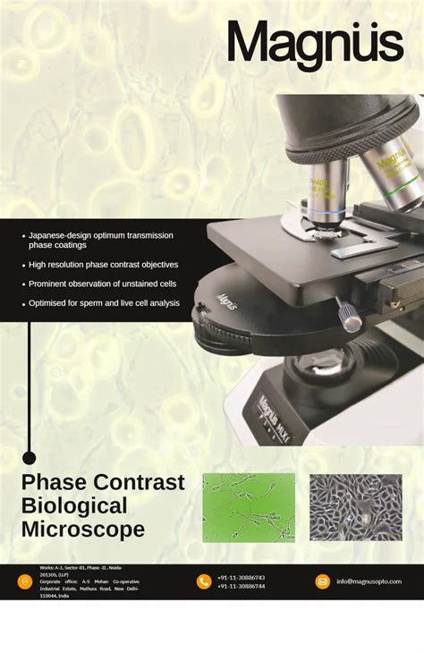 Olympus Phase Contrast Microscope Magnification 1000x At ₹ 150000
