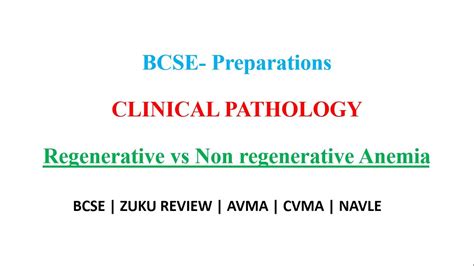 regenerative vs non regenerative vfd at irving hernandez blog