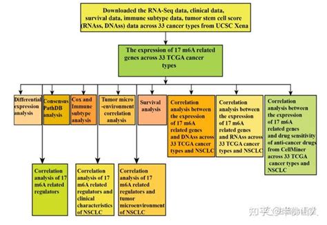 5分 Sci，比较简单的基因集泛癌分析 知乎