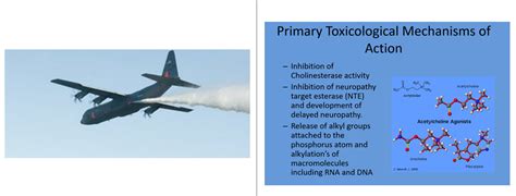 Exposure To Aerial Emissions Of Nano Composite Materials Resulted In Cholinesterase Inhibition