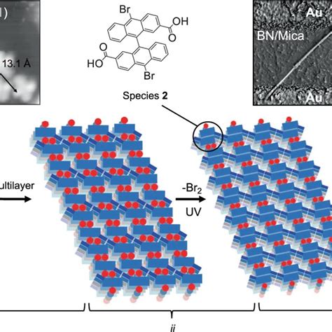 Hierarchical Self Assembly Crosslinking And Thermal Conversion Of