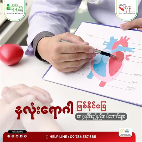 Heart နှလုံးရောဂါဖြစ်နိုင်ခြေကို လျှော့ချနိုင်မည့် နည်းလမ်းကောင်းများ