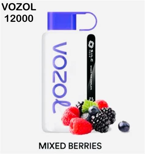 Vozol Star 12000 Puffs Disposable Vape In Dubai Uae