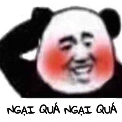 Ảnh Meme Gấu Trúc Troll Bựa Siêu Hài Hước Lầy Nhất